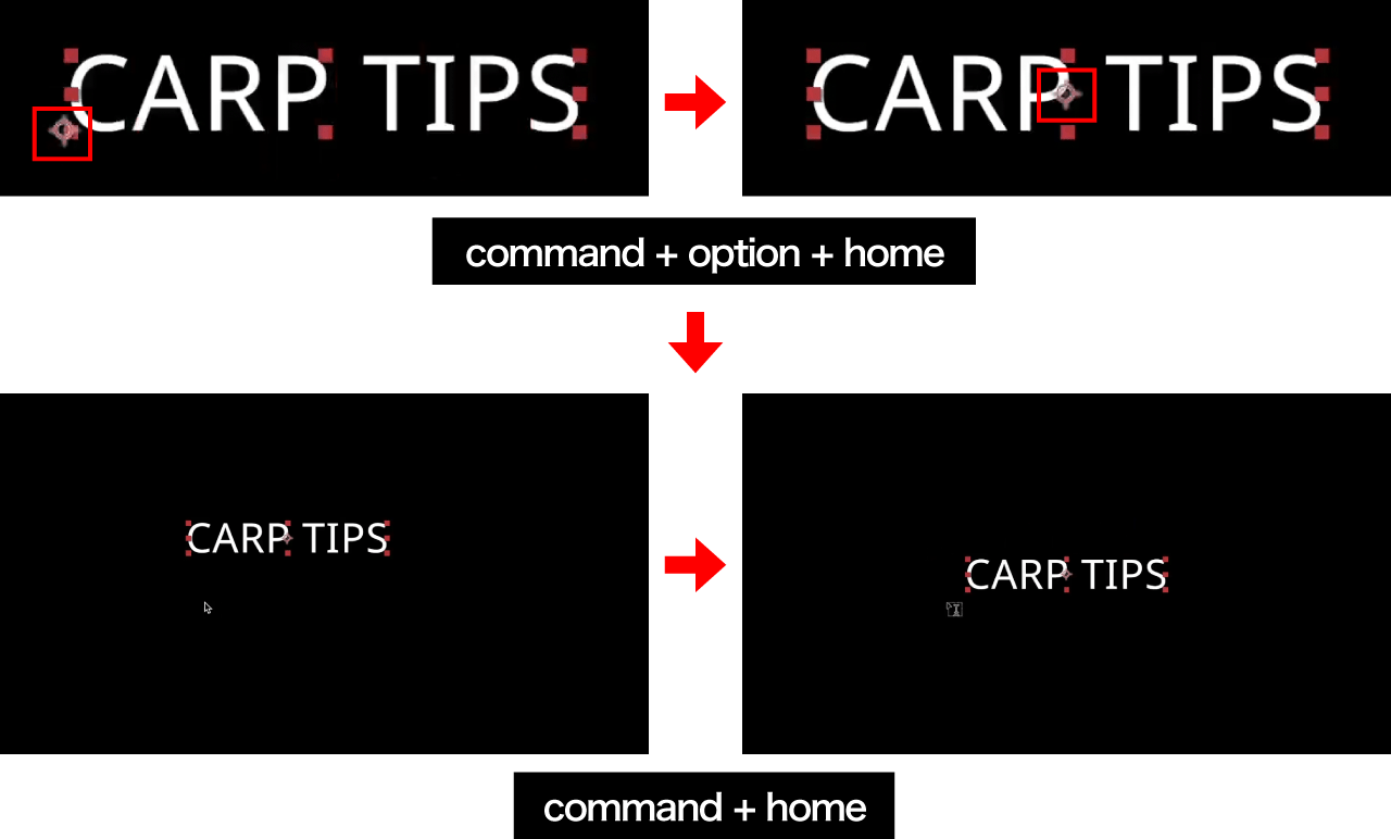 After Effects Tips タイトルアニメーションseries | Carp-Tips